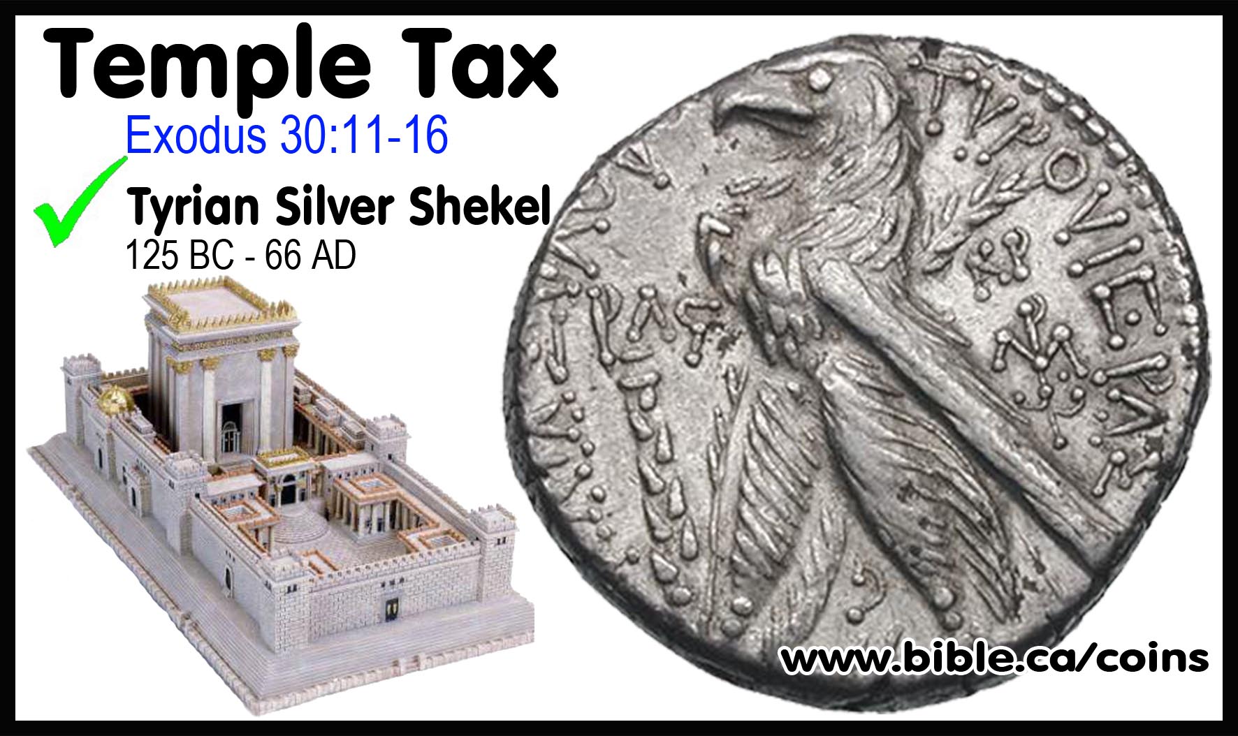 Phoenician Coins Phoenician Coins